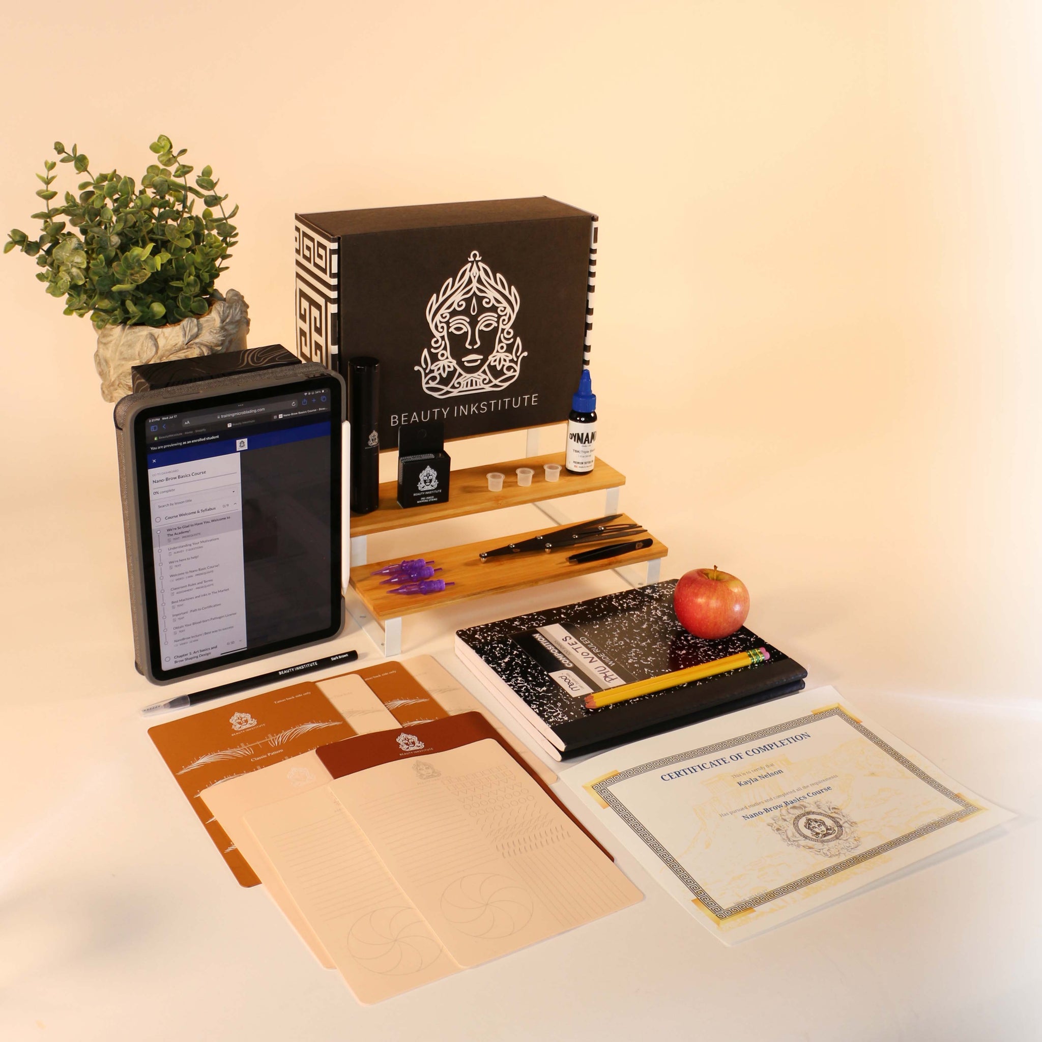 Beauty Inkstitute Nano Kit and Double Course Bundle