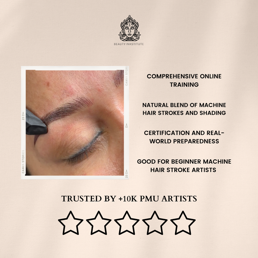 Beauty Inkstitute Beginner Ombré Brow Class: Pixel Strokes and Shading